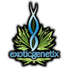 Exotic Genetix Archives - Heritage Seed Bank