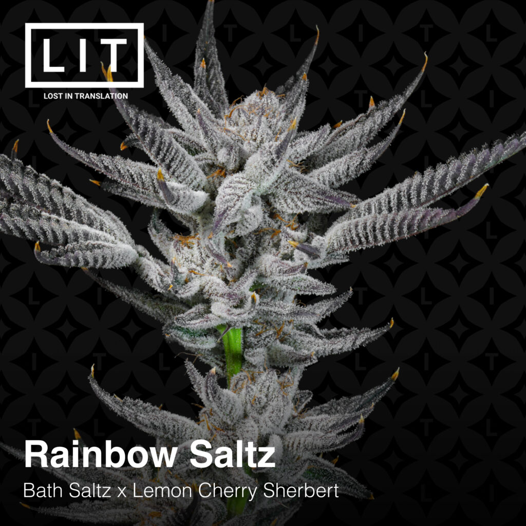 Lit Farms - Rainbow Saltz - Heritage Seed Bank