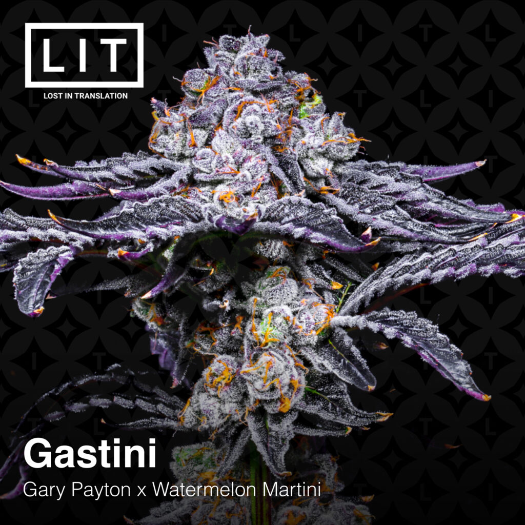 Lit Farms - Gastini - Heritage Seed Bank